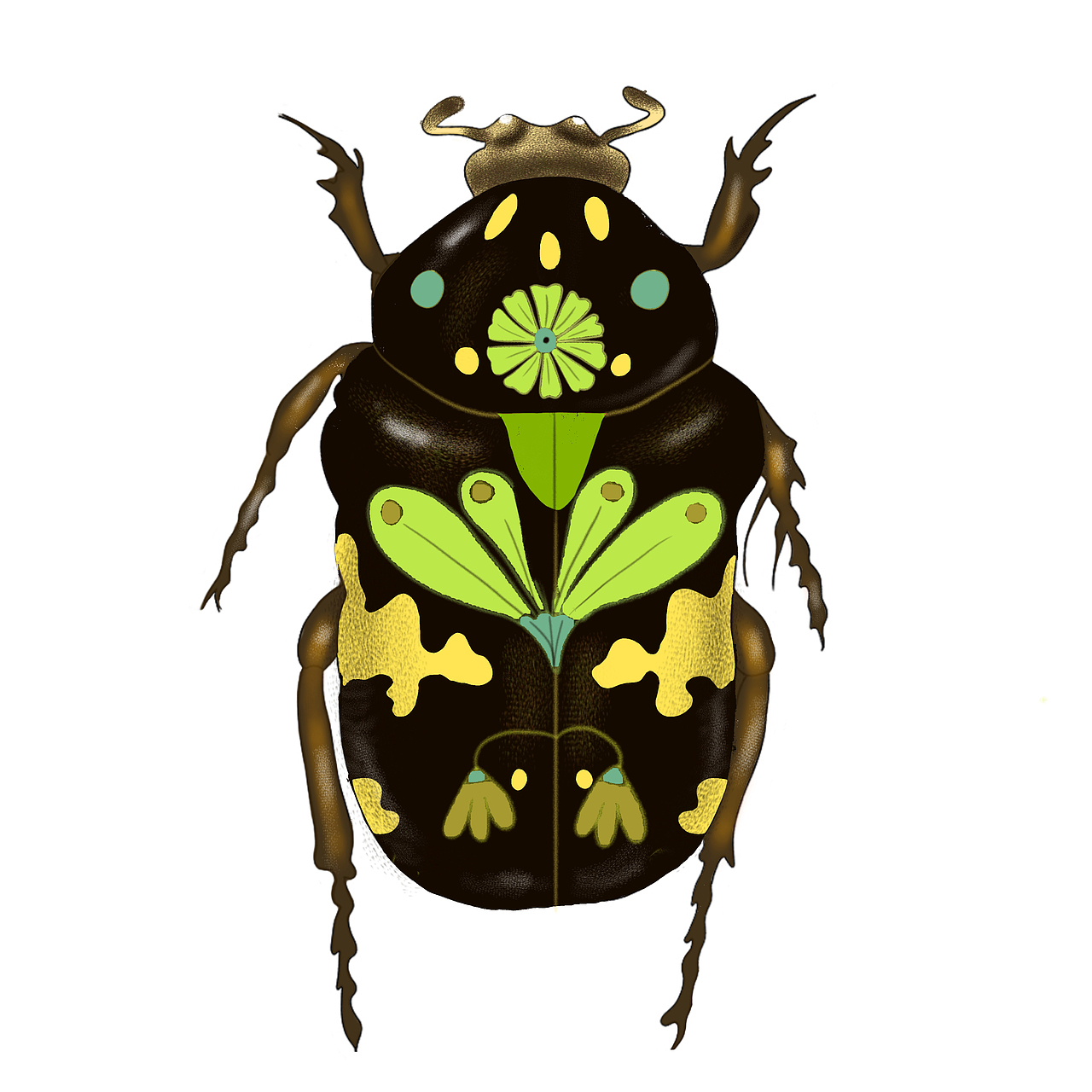 昆虫 毕业设计｜这是我的毕业设计_花花生002-站酷ZCOOL