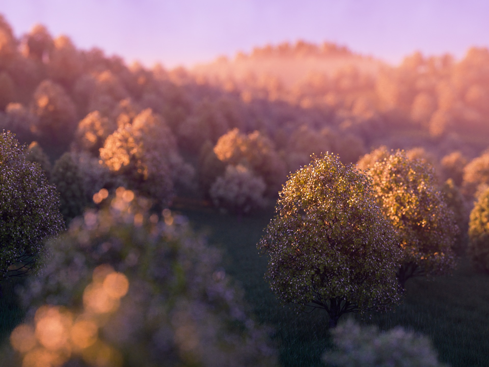 森林场景_Colin__Chen-站酷ZCOOL