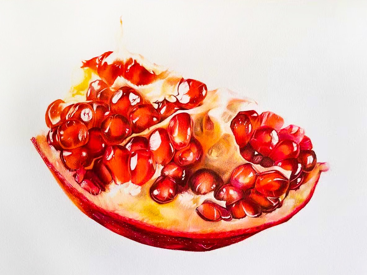 彩铅画《石榴》_樊晓闻xiaoW-站酷ZCOOL