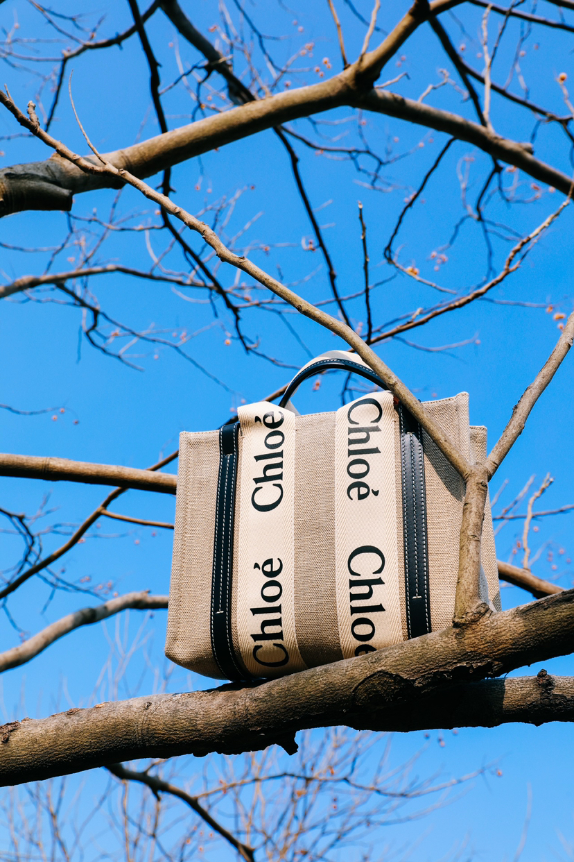 静物摄影｜CHLOE_莞椿L-站酷ZCOOL