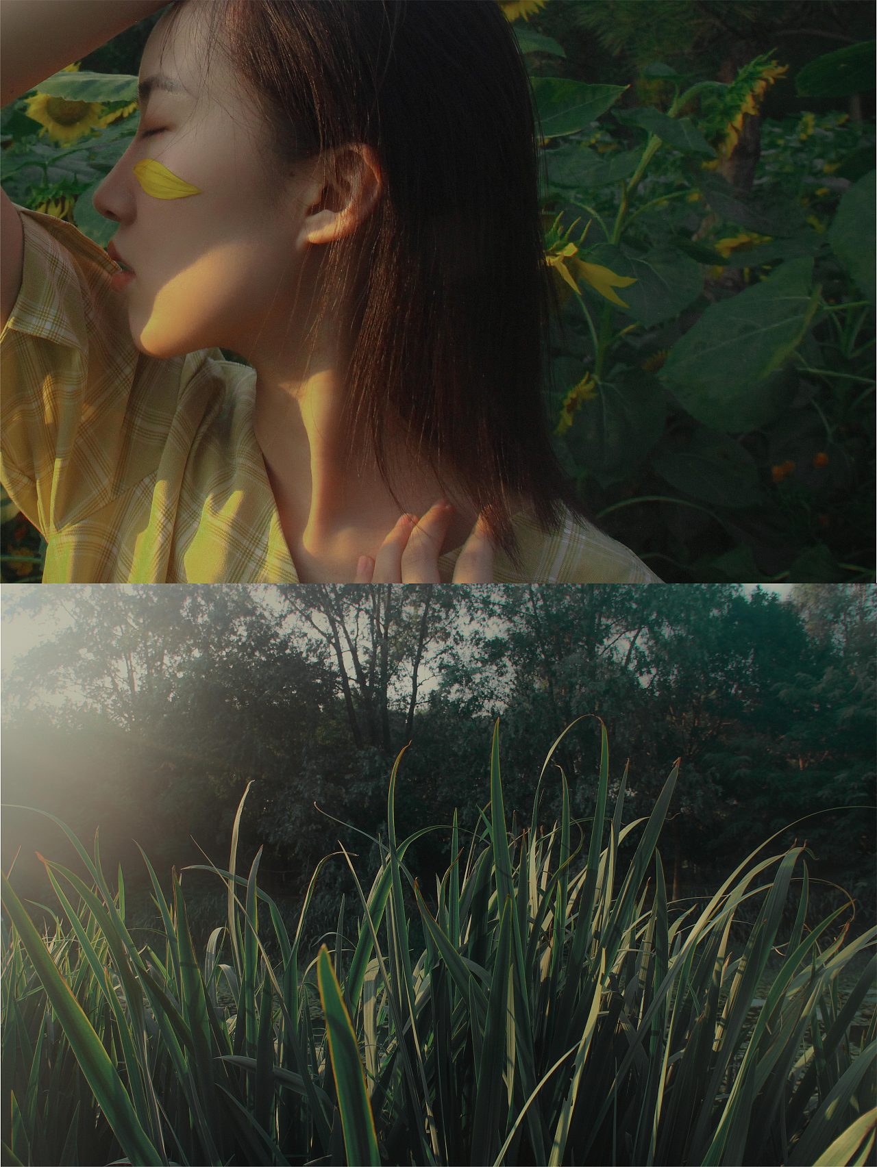 柒月昭昭，听风拂耳_橙子CHENGZI-站酷ZCOOL