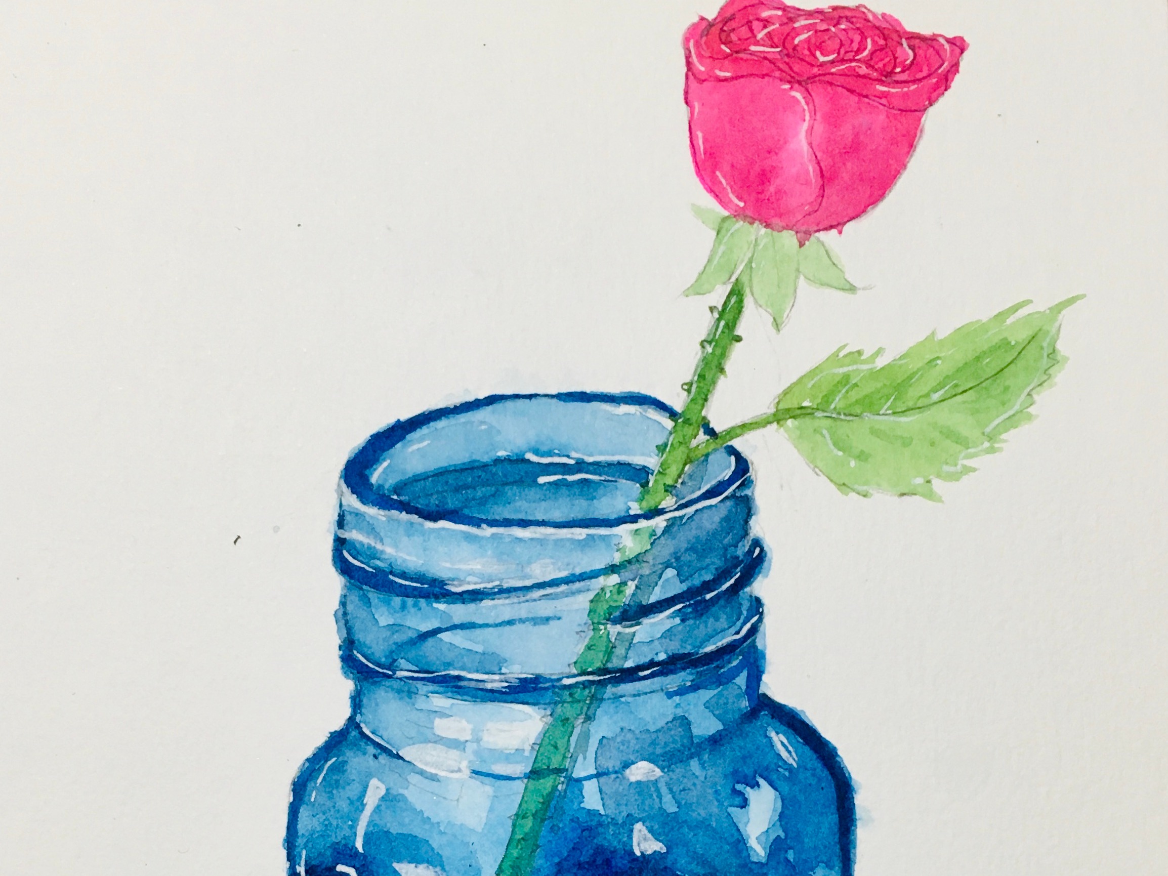 玻璃杯里的玫瑰_鲲鲲酱-站酷ZCOOL