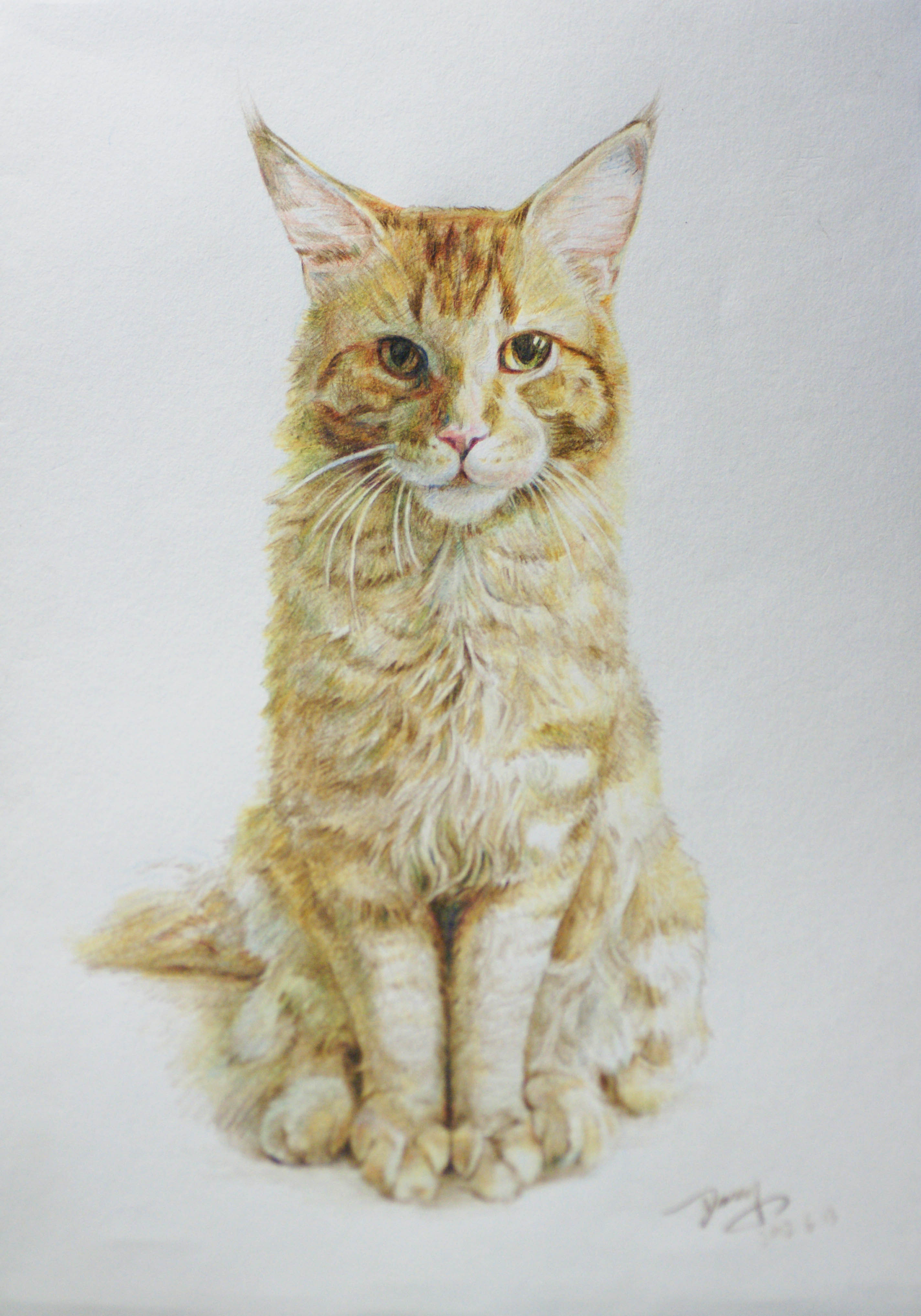 帮朋友画的一只喵星人（彩铅）|插画|商业插画|但丁Davey - 原创作品 - 站酷 (ZCOOL)