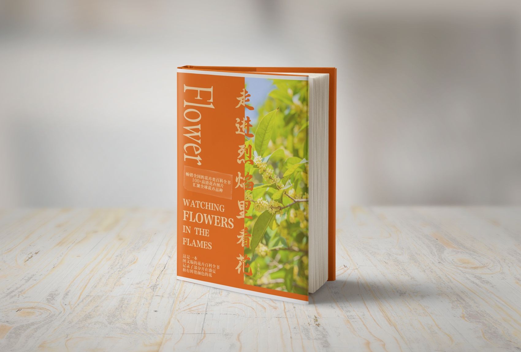 书籍封面设计_木木因ly-站酷ZCOOL