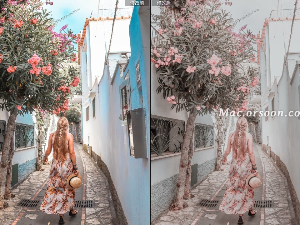 波西米亚INS摄影博主胶片色调Lr预设_Z764165533-站酷ZCOOL