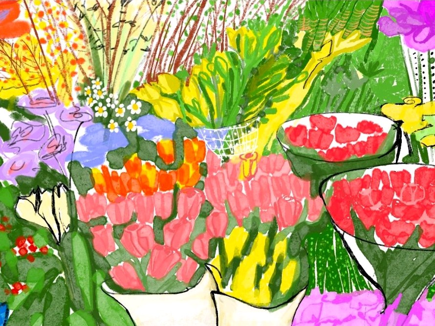 花鸟市场_小啾啾_QI-站酷ZCOOL