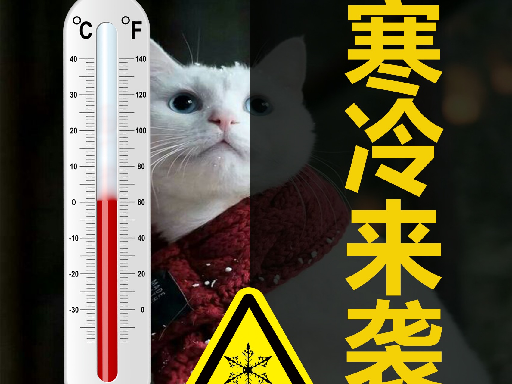 海报_BiteFight-站酷ZCOOL