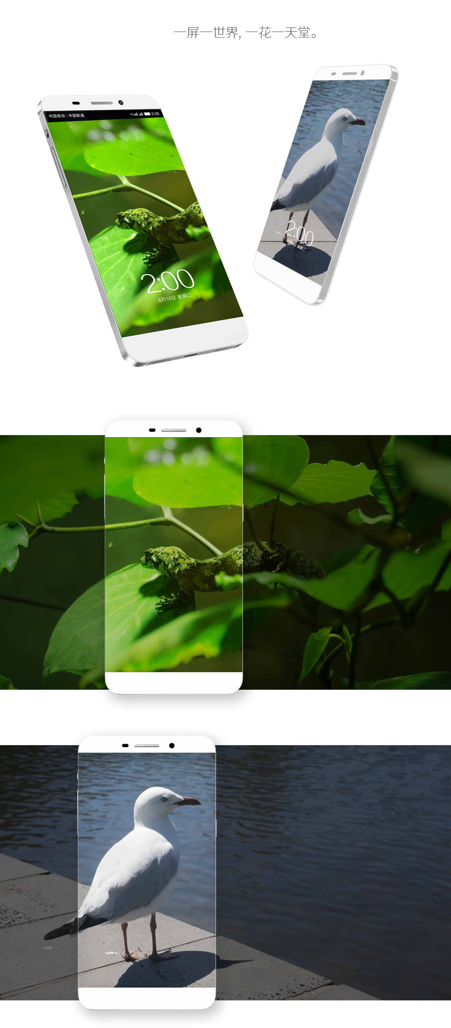 捕捉瞬间_vac-站酷ZCOOL