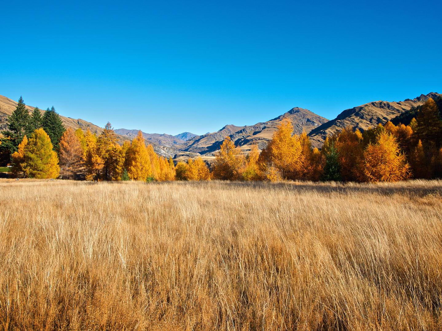 3D立体图片展示_IRONDA-站酷ZCOOL