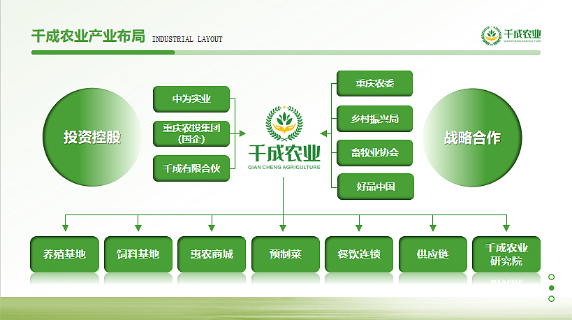 2023乡村振兴农业4.0项目黑猪认养商业计划书-31P_精英策划圈-站酷ZCOOL