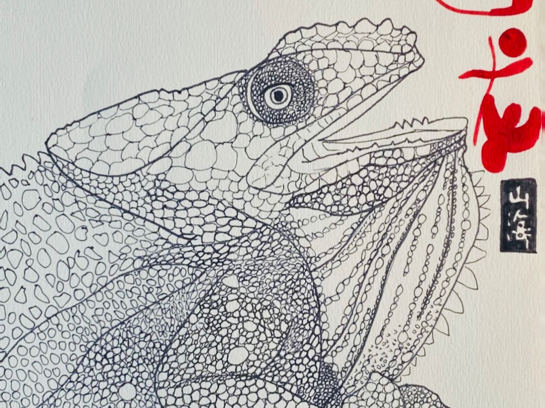 2023‘06’14_山海小怪物my-站酷ZCOOL