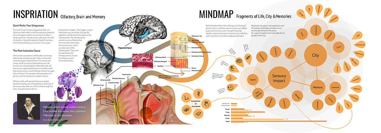 城市气味地图 Scent City Map|平面|信息图表|ZuzySchott_原创作品-站酷ZCOOL