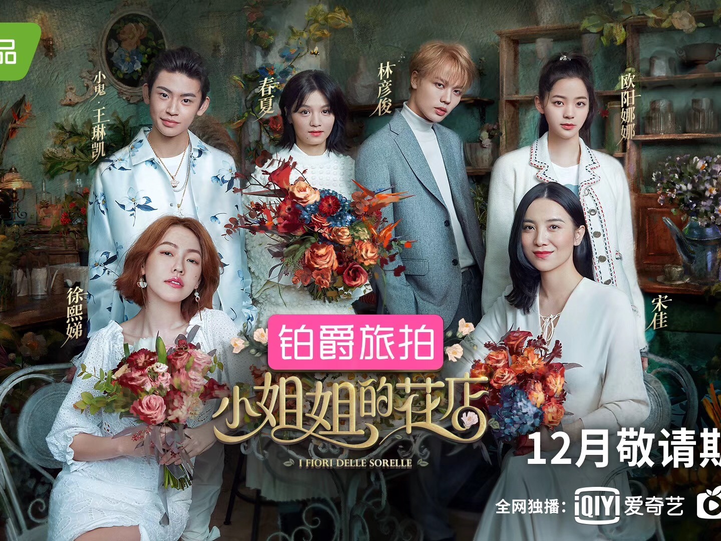 爱奇艺《小姐姐的花店》_HEREidea英合创意-站酷ZCOOL