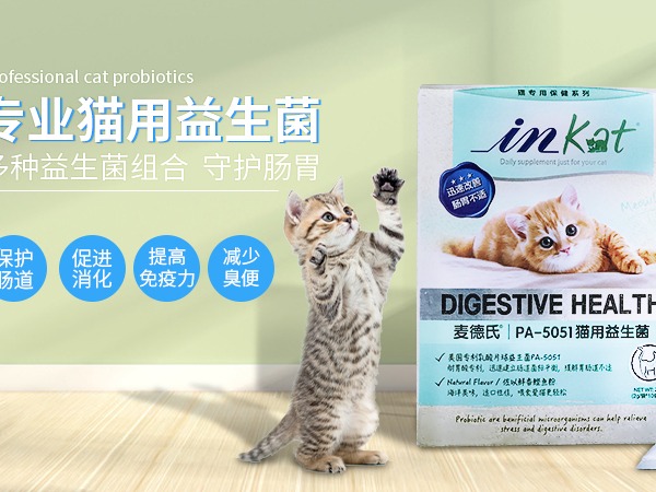 首页练习1_gkd哈哈-站酷ZCOOL