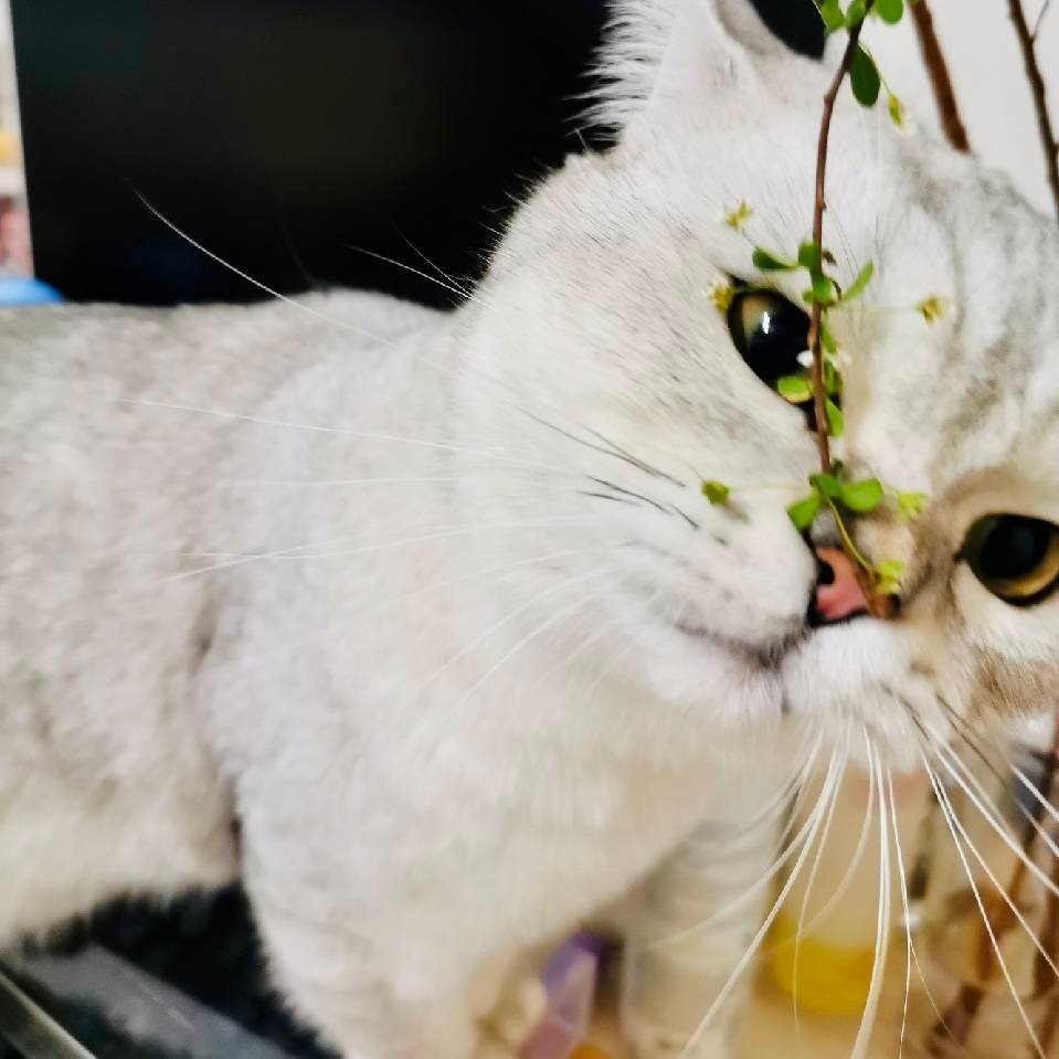 易燃易爆炸lior创作者主页_大连设计爱好者-站酷ZCOOL