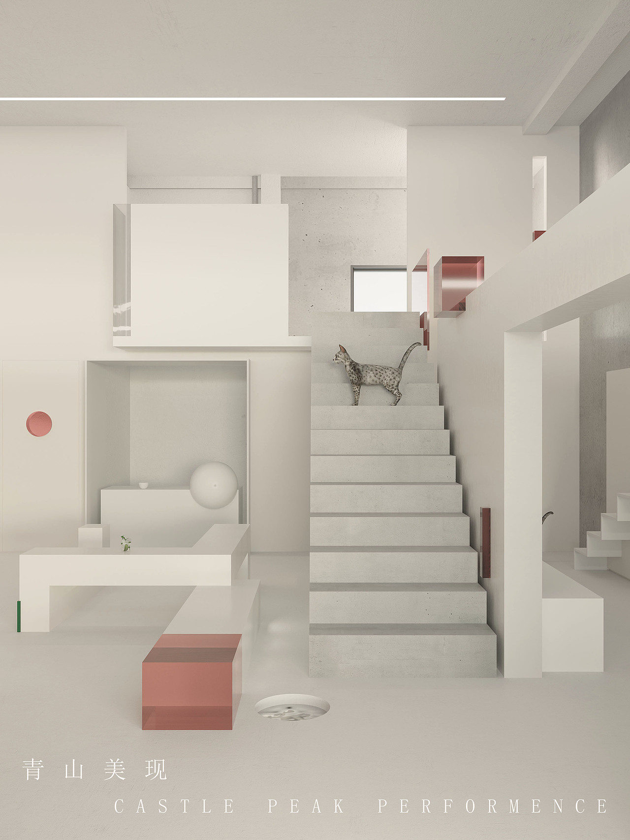 Cat Shop · 一家独特宠物店|空间|家装设计|青山美现_原创作品-站酷ZCOOL