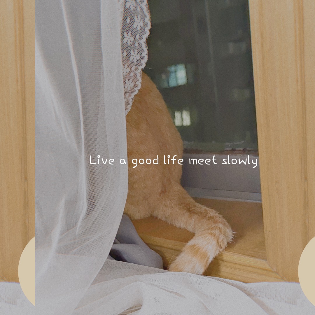 bing凌xue创作者主页_西安设计爱好者-站酷ZCOOL