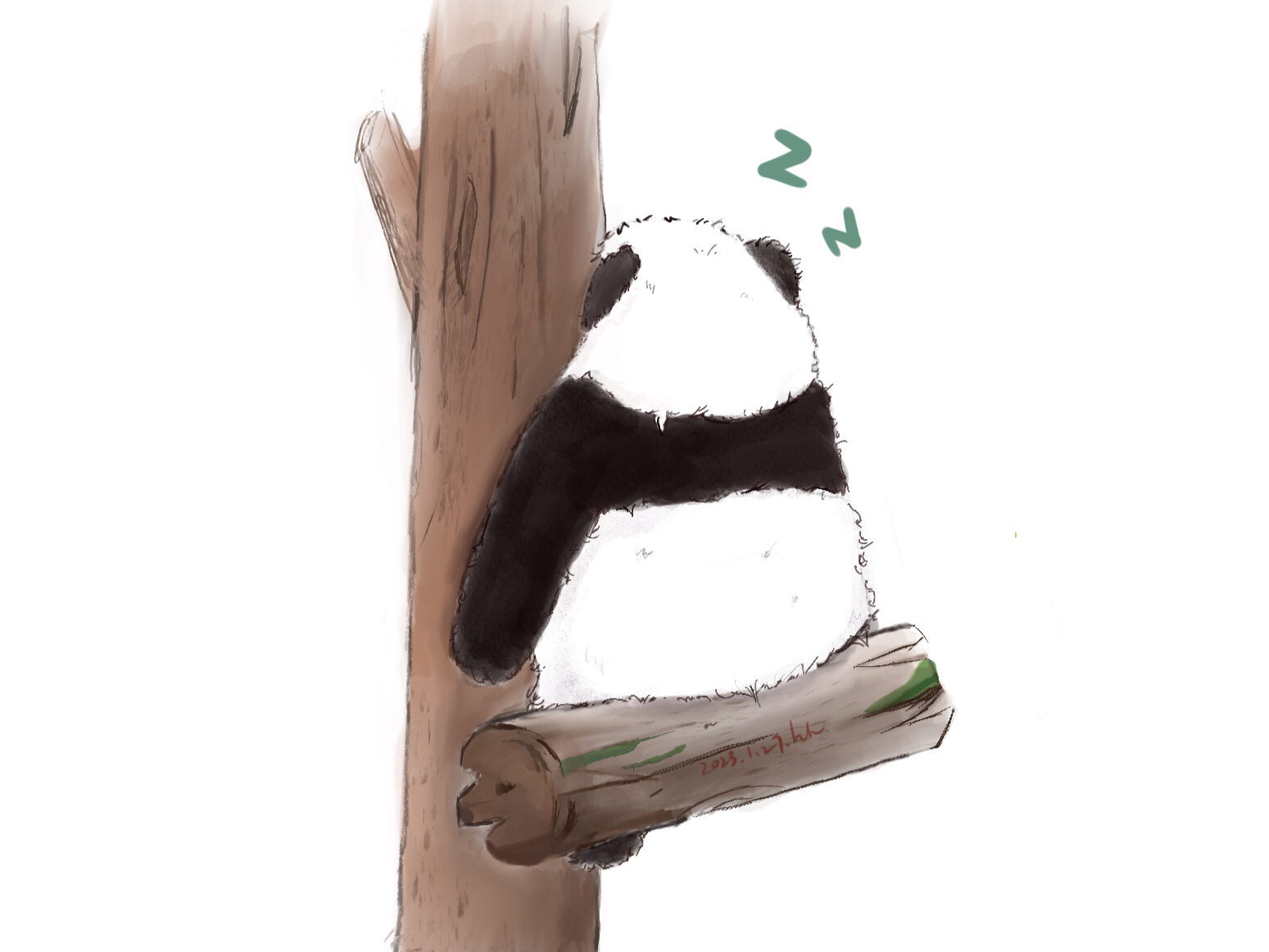 日常手绘练习熊猫_hanababe-站酷ZCOOL