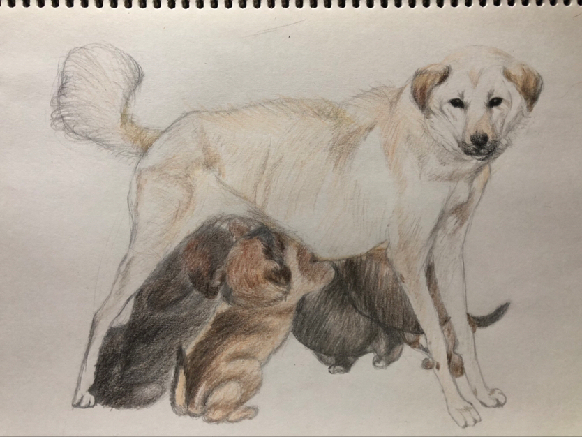 菲菲和她的宝宝_敏仔922-站酷ZCOOL