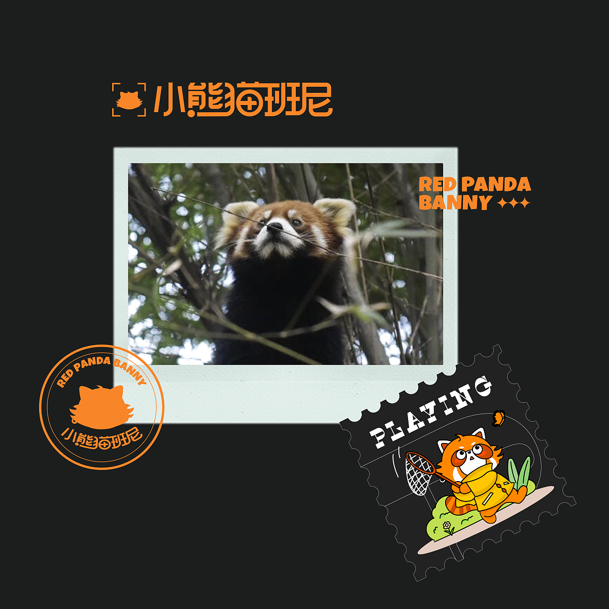 RED PANDA IP DESIGN |卡通IP形象设计_羊屁屁-站酷ZCOOL