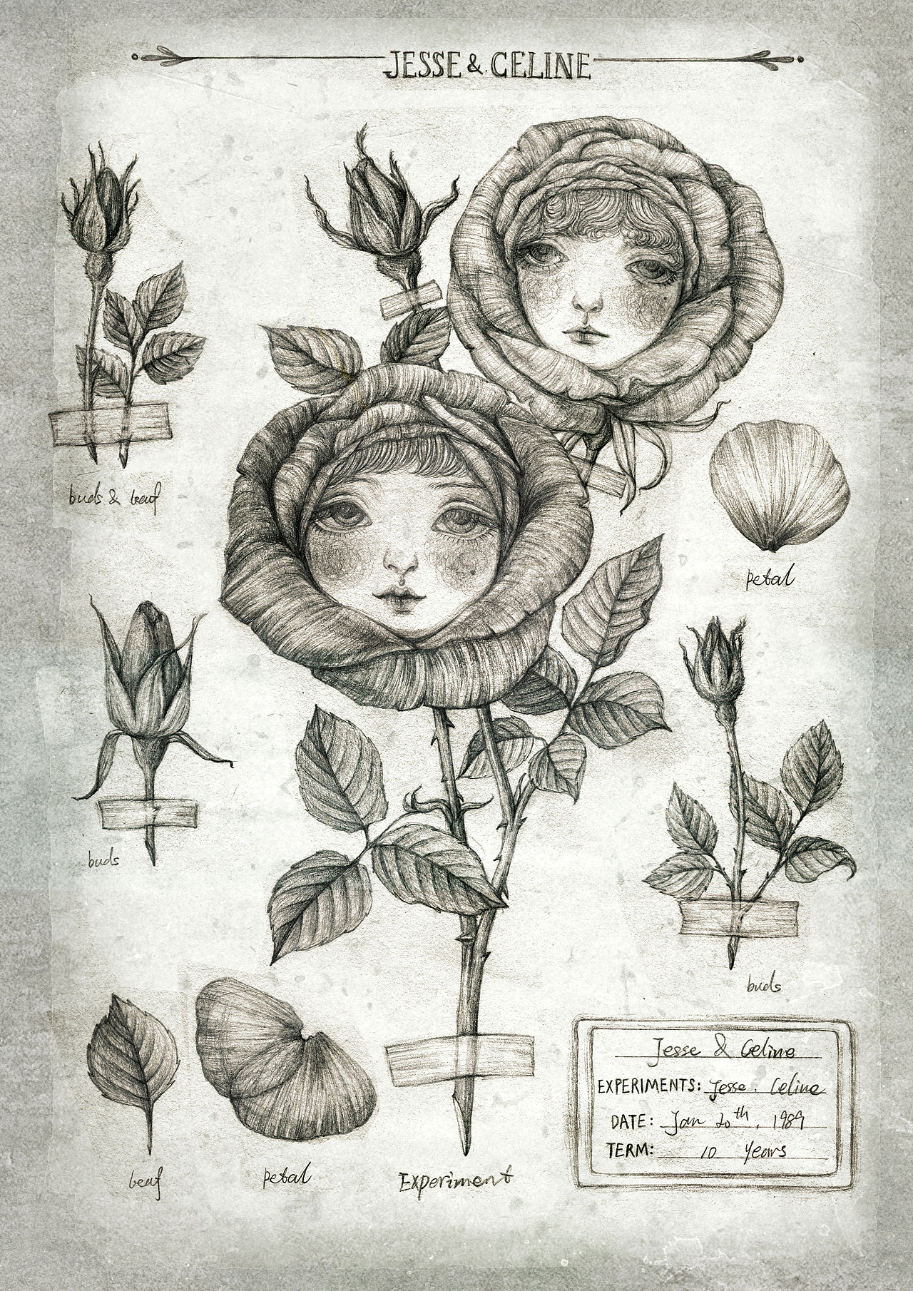 复古娃黑白线稿整理~_hanawa花轮-站酷ZCOOL