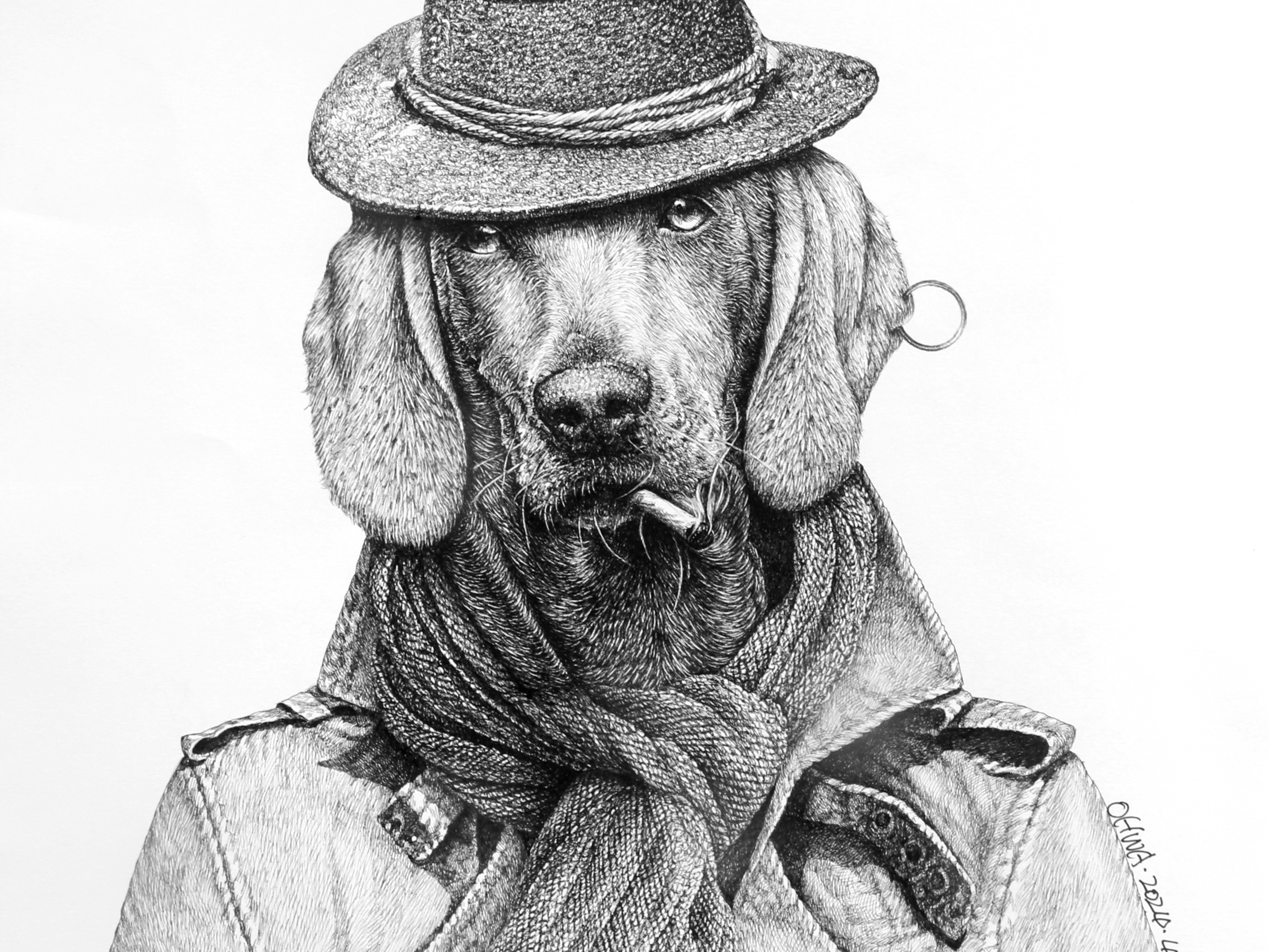 金毛先生_ohwa俊桦-站酷ZCOOL