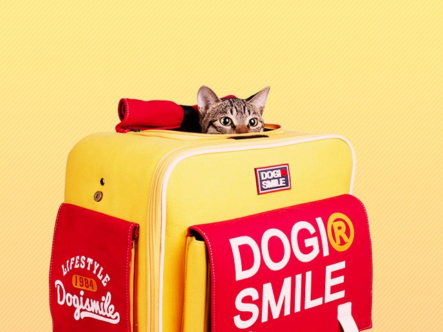 dogismile旗舰店-两款产品详情+主图_pollchan-站酷ZCOOL