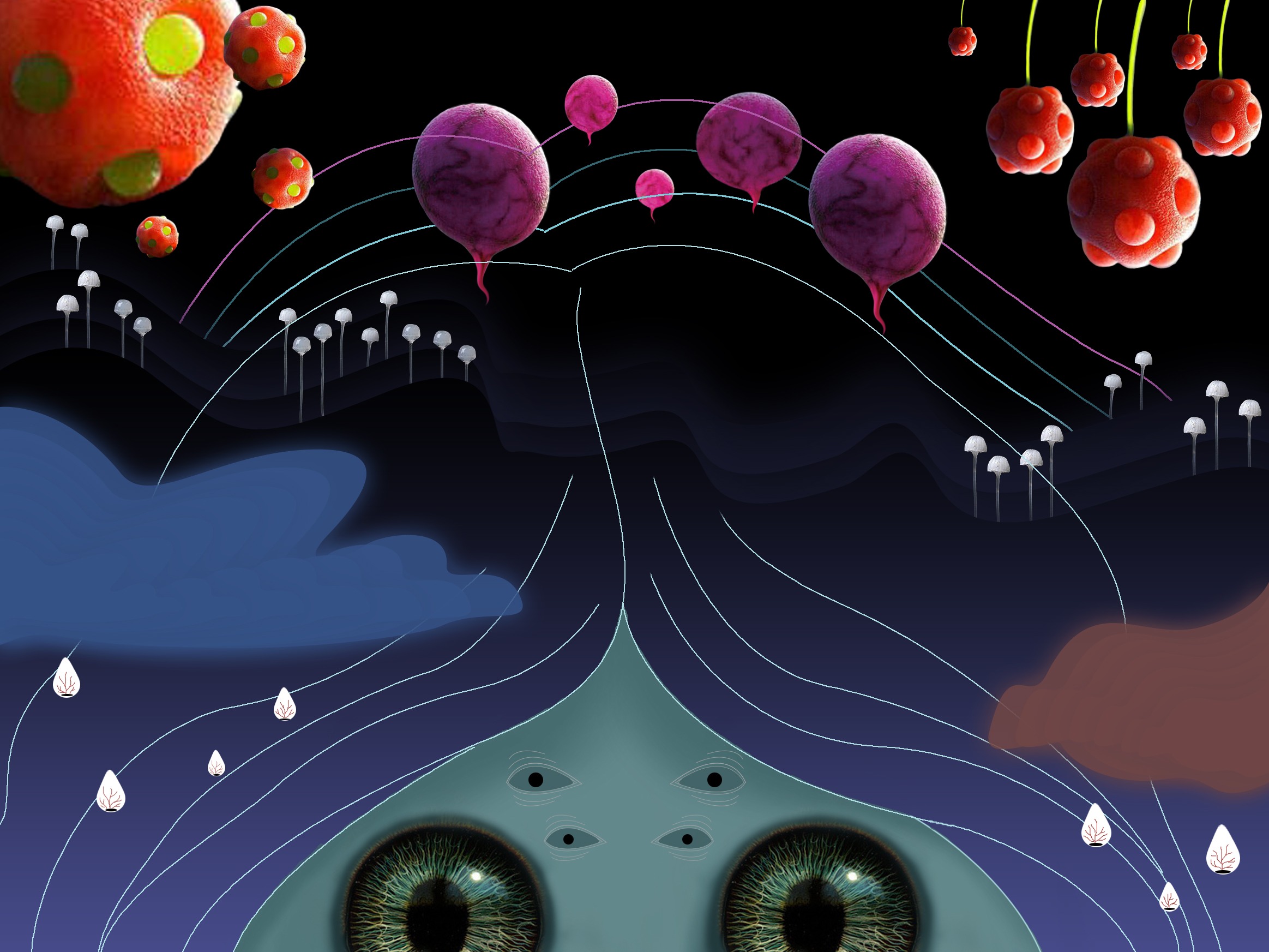 Fairy Land_Takesawa-站酷ZCOOL