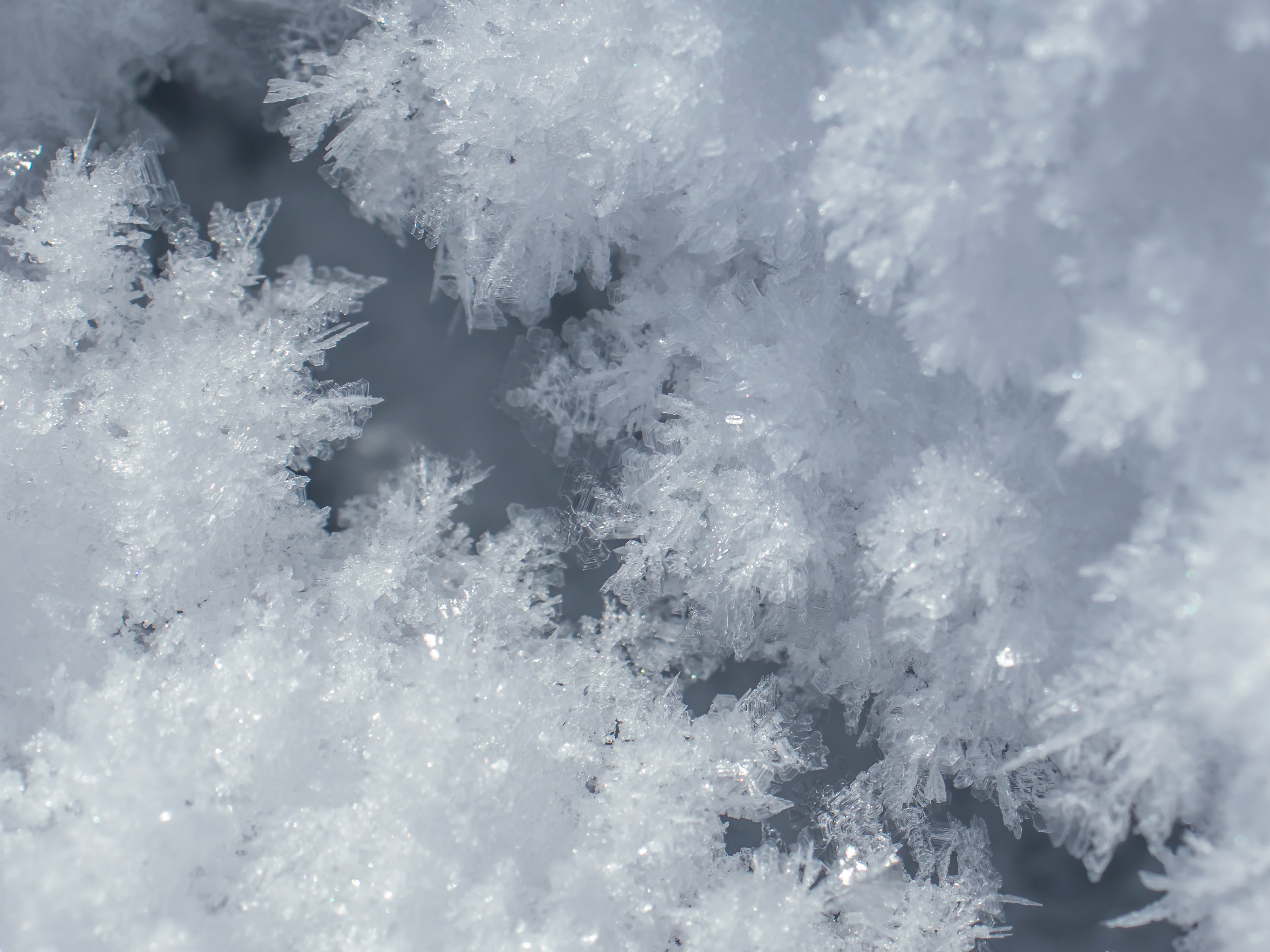 冰雪_Casey乐-站酷ZCOOL