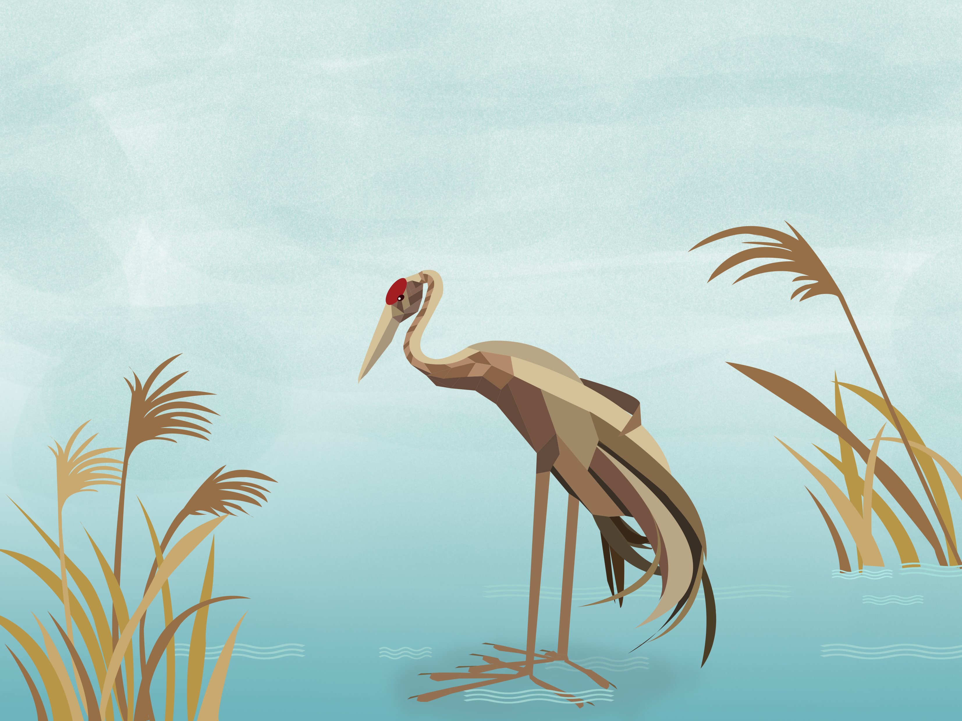 动物矢量插画_臧情731-站酷ZCOOL