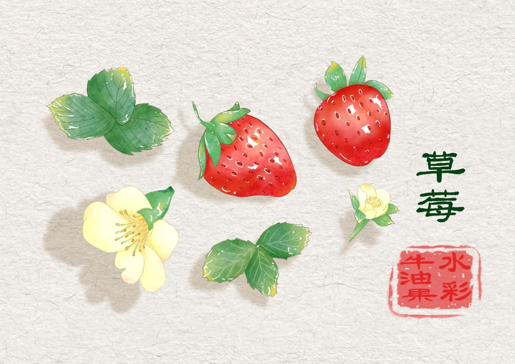 一颗好看的草莓放在哪里都好看_牛油果的dream-站酷ZCOOL