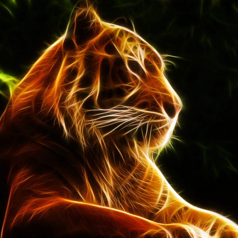 文刀丘山创作者主页_天津设计爱好者-站酷ZCOOL