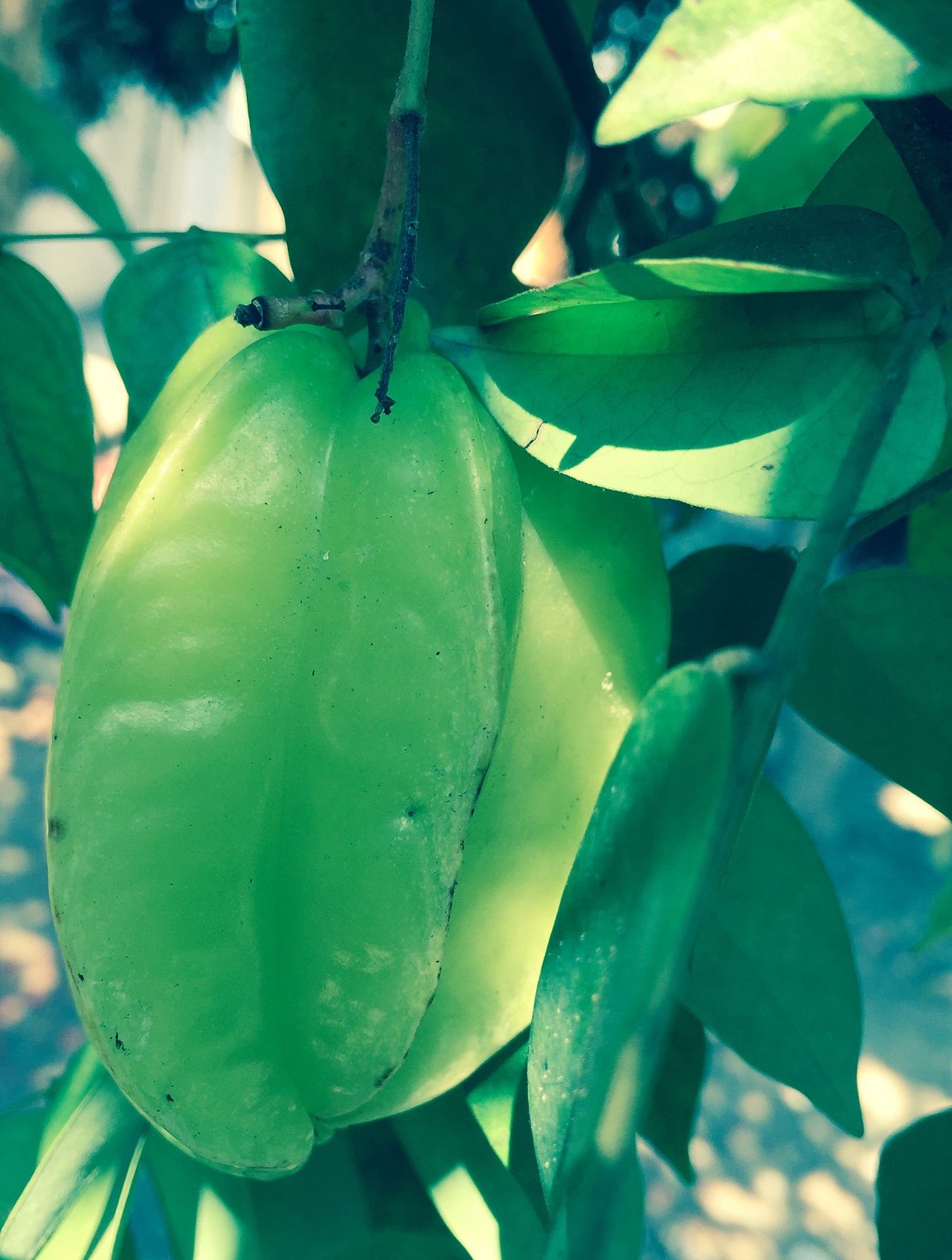 a_曦lip-站酷ZCOOL