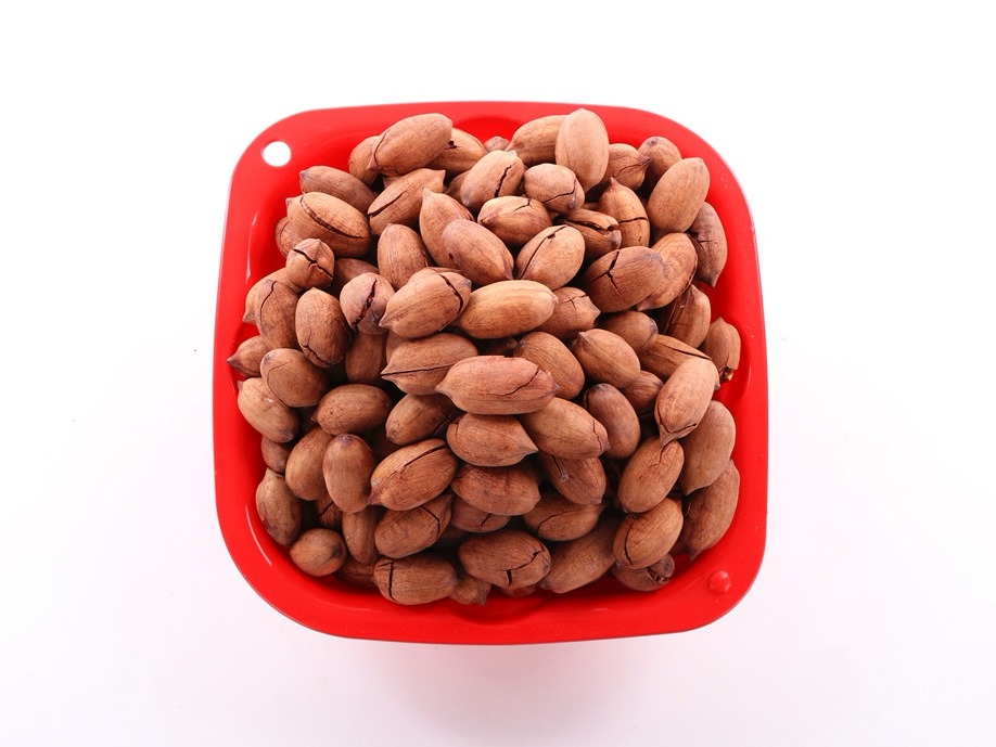 B05-碧根果X1-23P_图海网yjh-站酷ZCOOL