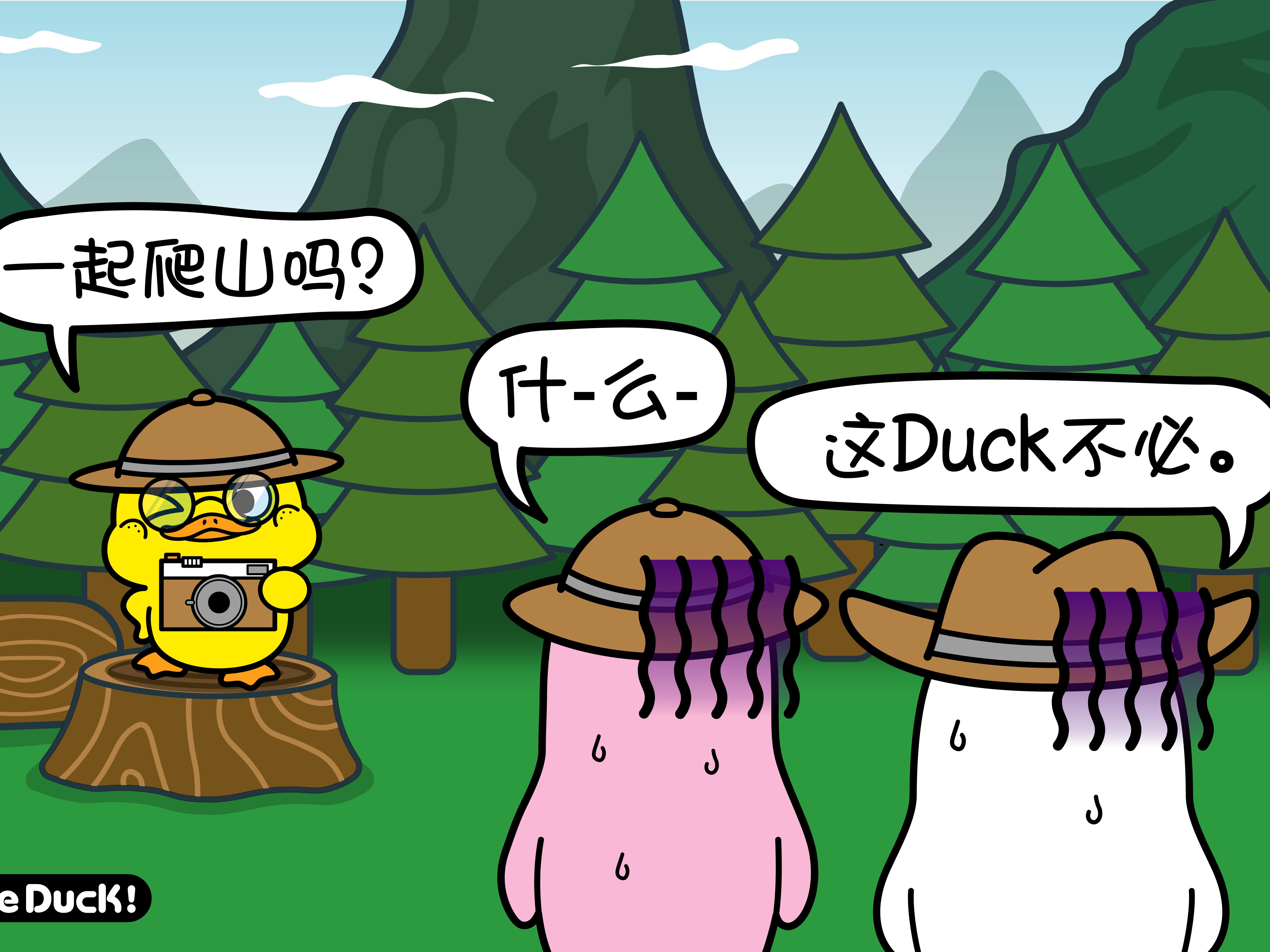 W.T.Duck什么鸭日常系列_什么鸭-站酷ZCOOL