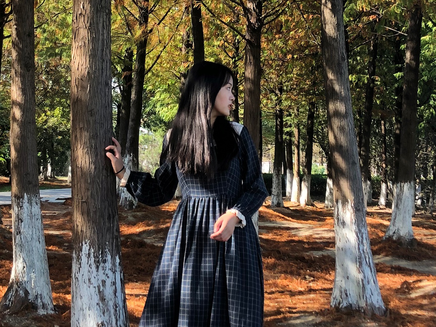 秋_JULY柒樾-站酷ZCOOL