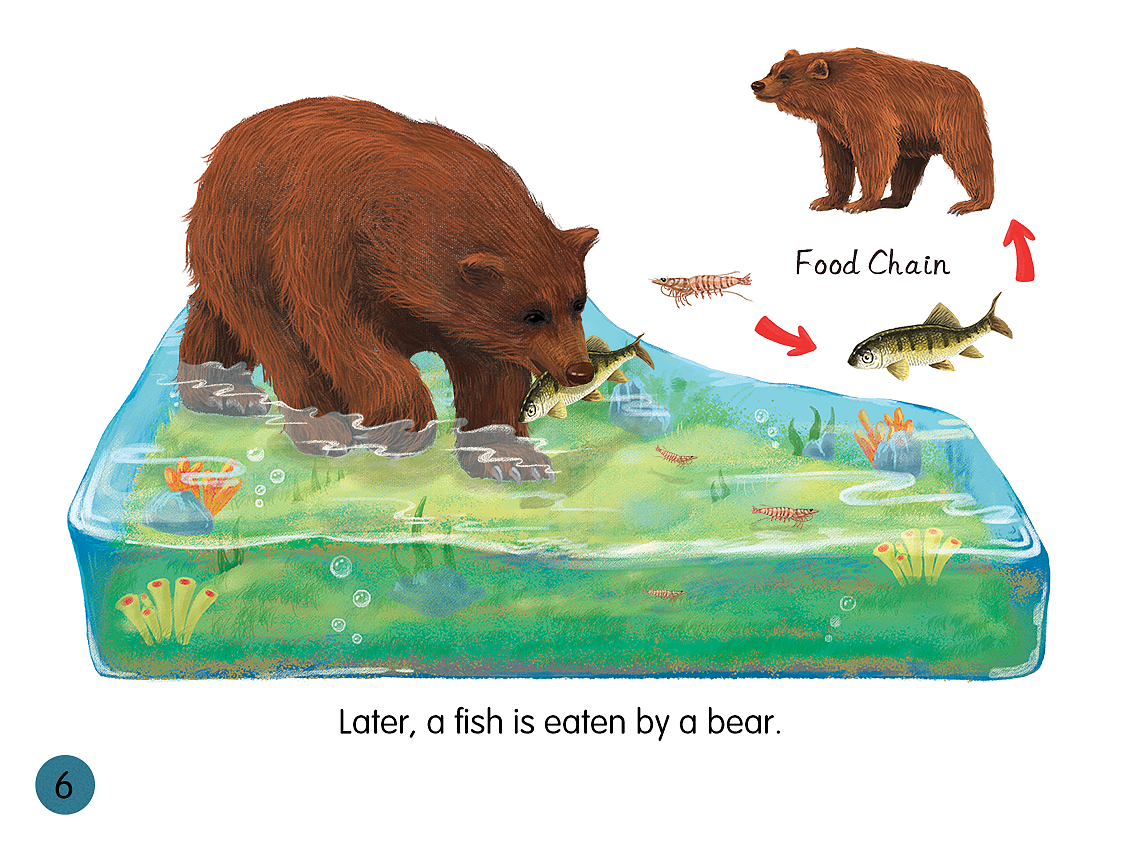 儿童绘本《Who Eats What?》_陌小强Allen-站酷ZCOOL