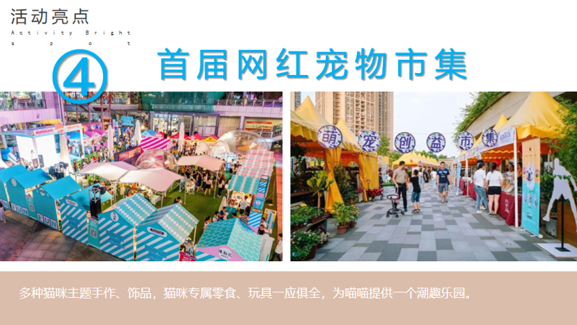 2022猫懂空间主题11-12月主题系列活动策划方案-54P_精英策划圈-站酷ZCOOL