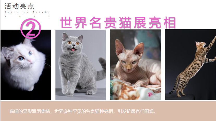 2022猫懂空间主题11-12月主题系列活动策划方案-54P_精英策划圈-站酷ZCOOL