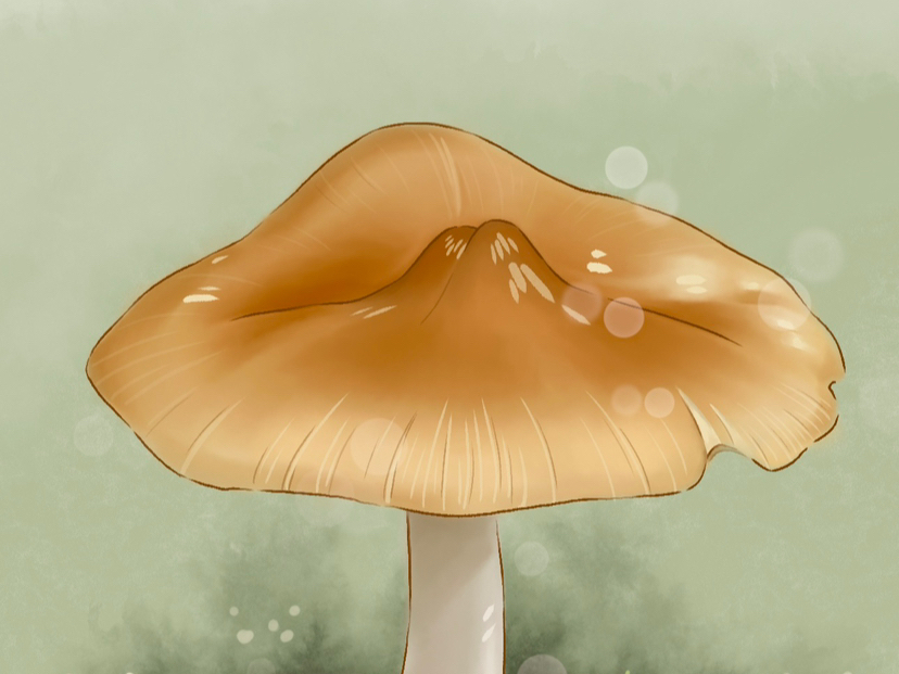 插画习作～小蘑菇_CC_Bella-站酷ZCOOL