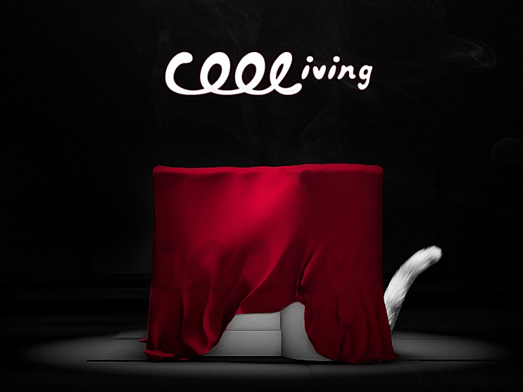 开店预告《红布遮箱子》_Anything_-站酷ZCOOL