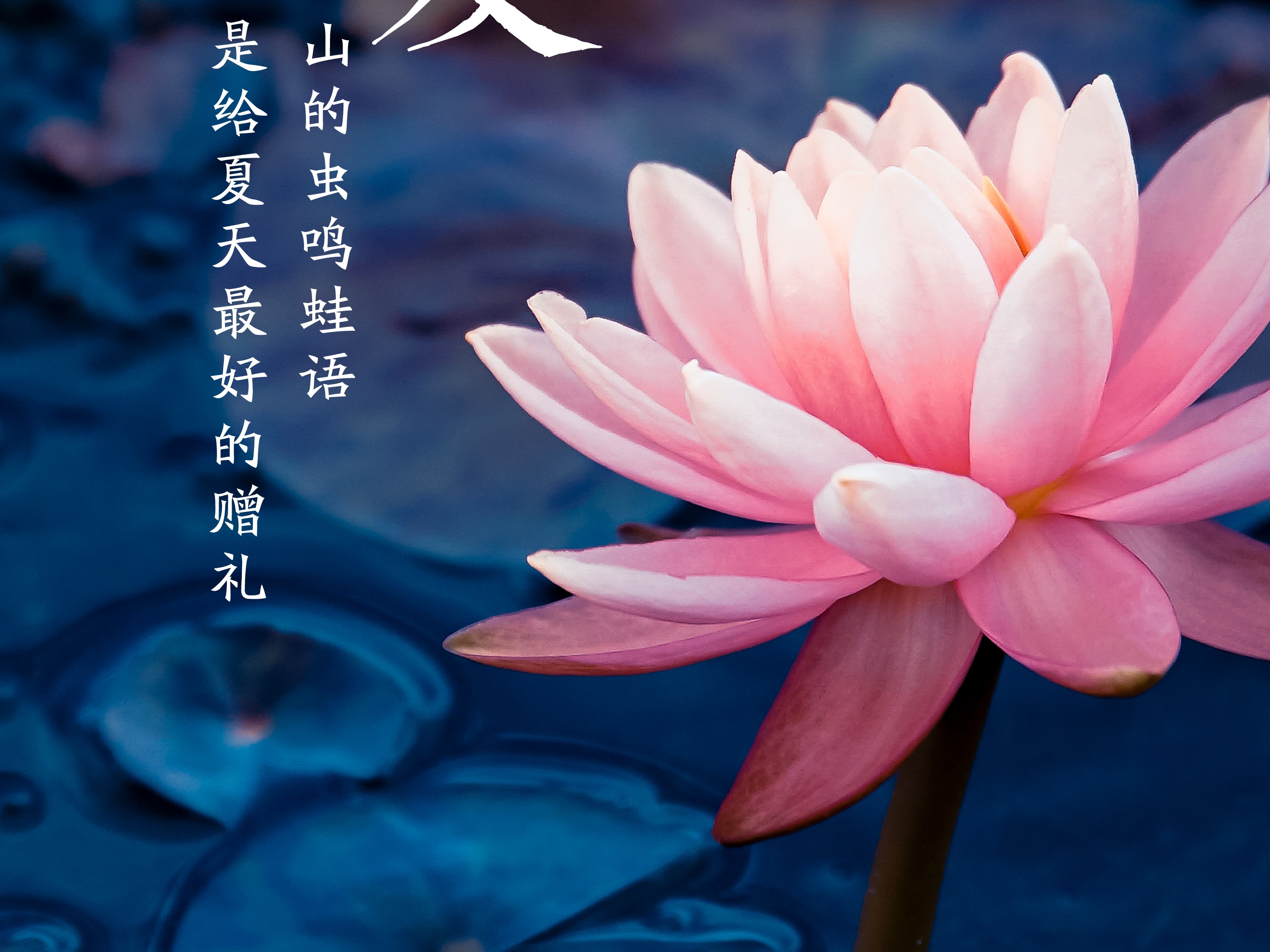 锦绣阑山立夏_Mr万物-站酷ZCOOL