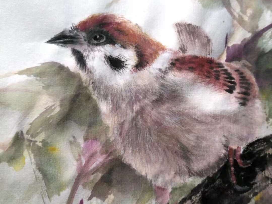 麻雀牡丹_野墨轩-站酷ZCOOL