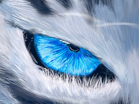 虎眼 煞气 蓝色_Grinxiang-站酷ZCOOL