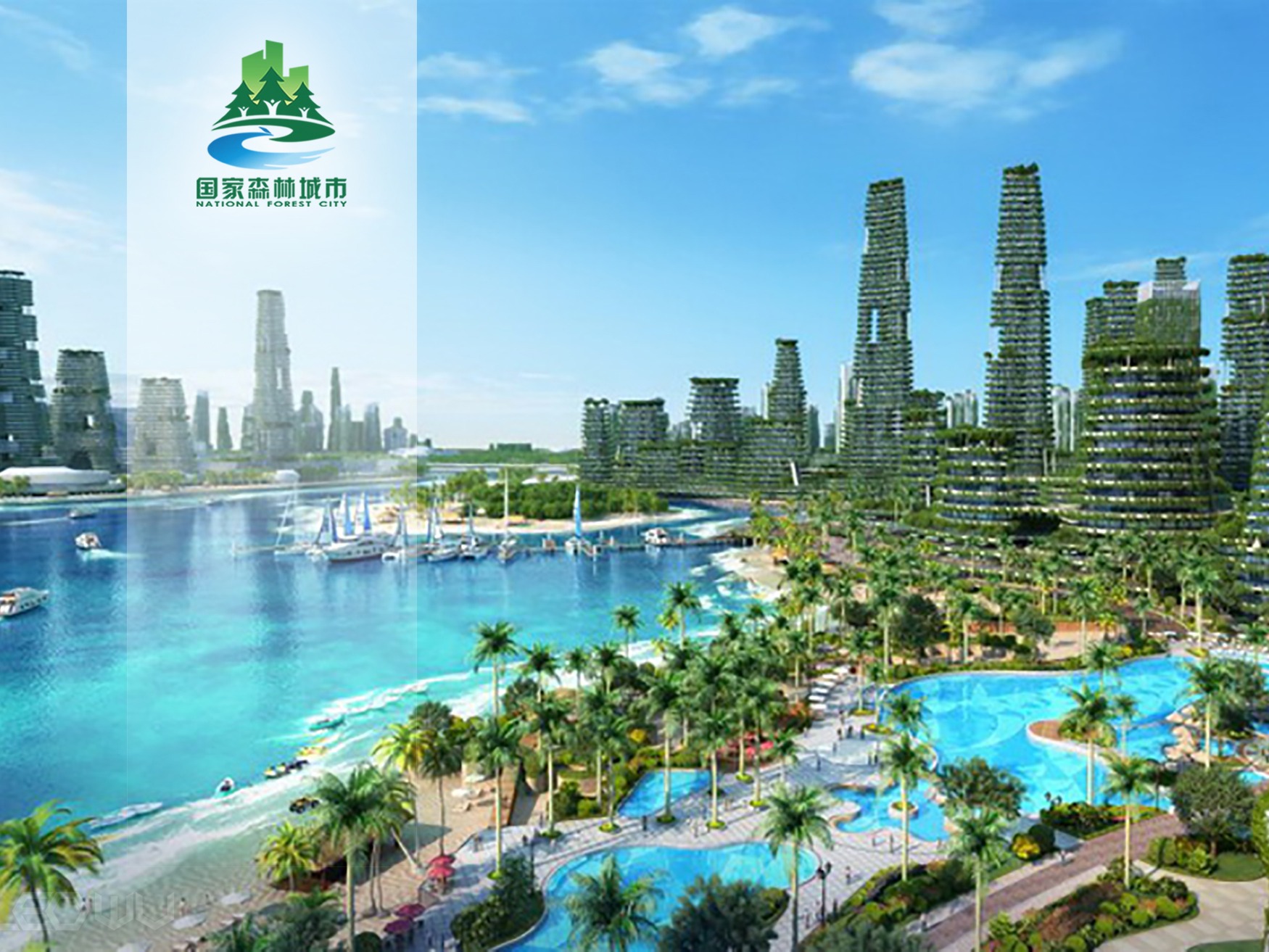 中国国家森林城市形象视觉VI_LeoWu_设计师-站酷ZCOOL