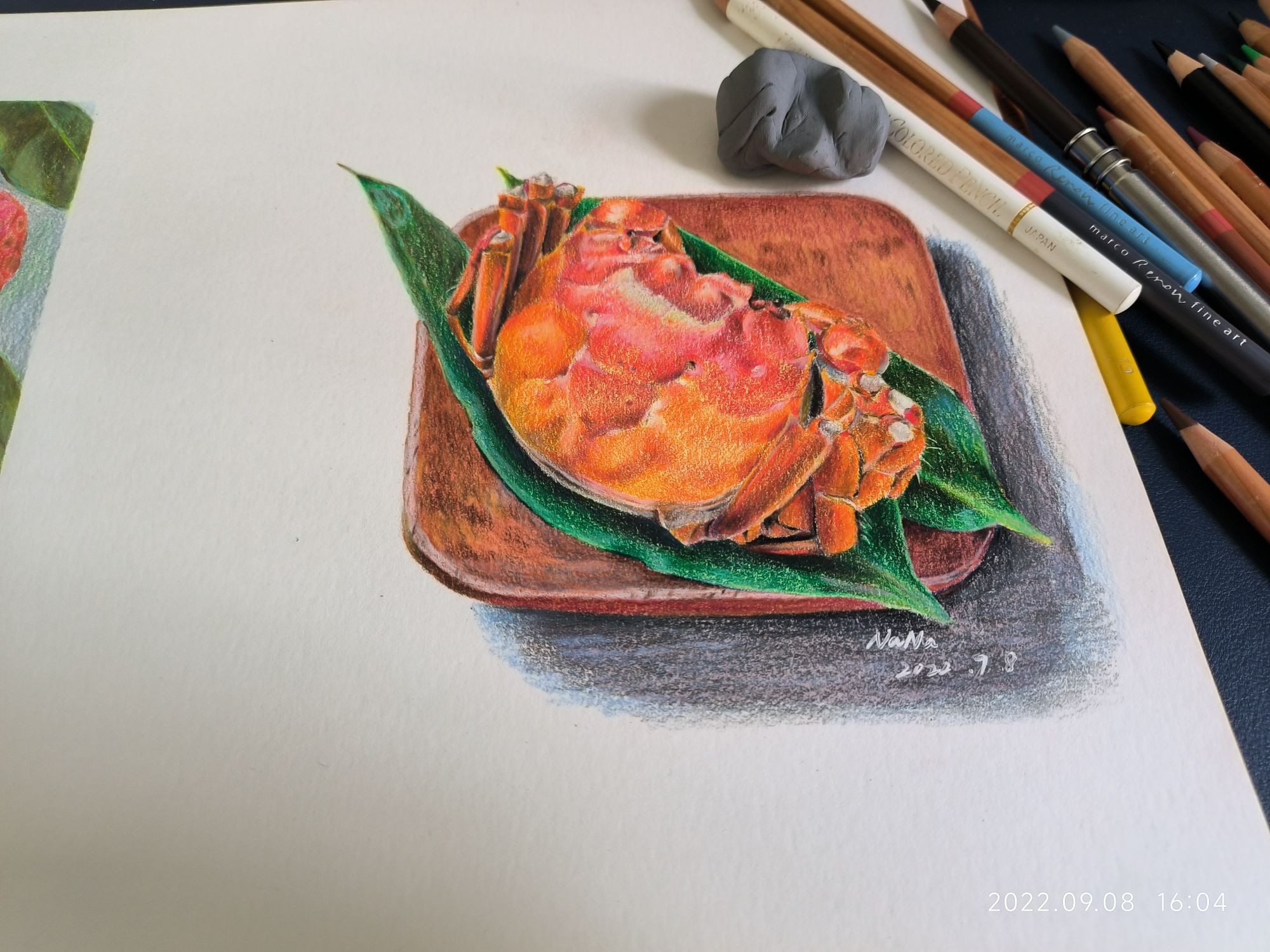 彩铅手绘练习，螃蟹_悲伤胶囊-站酷ZCOOL