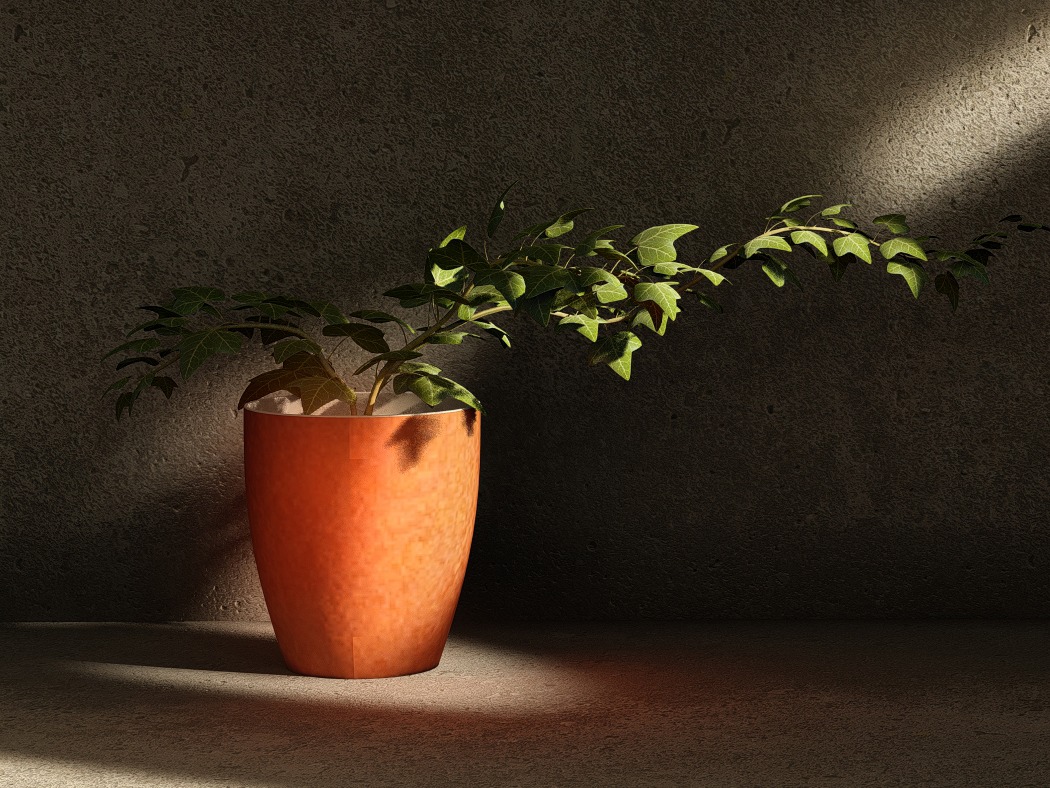 参数练习_吴雨忆-站酷ZCOOL