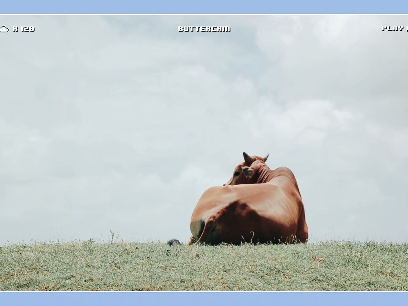 CAMPAGNE_Sylvie和玩-站酷ZCOOL