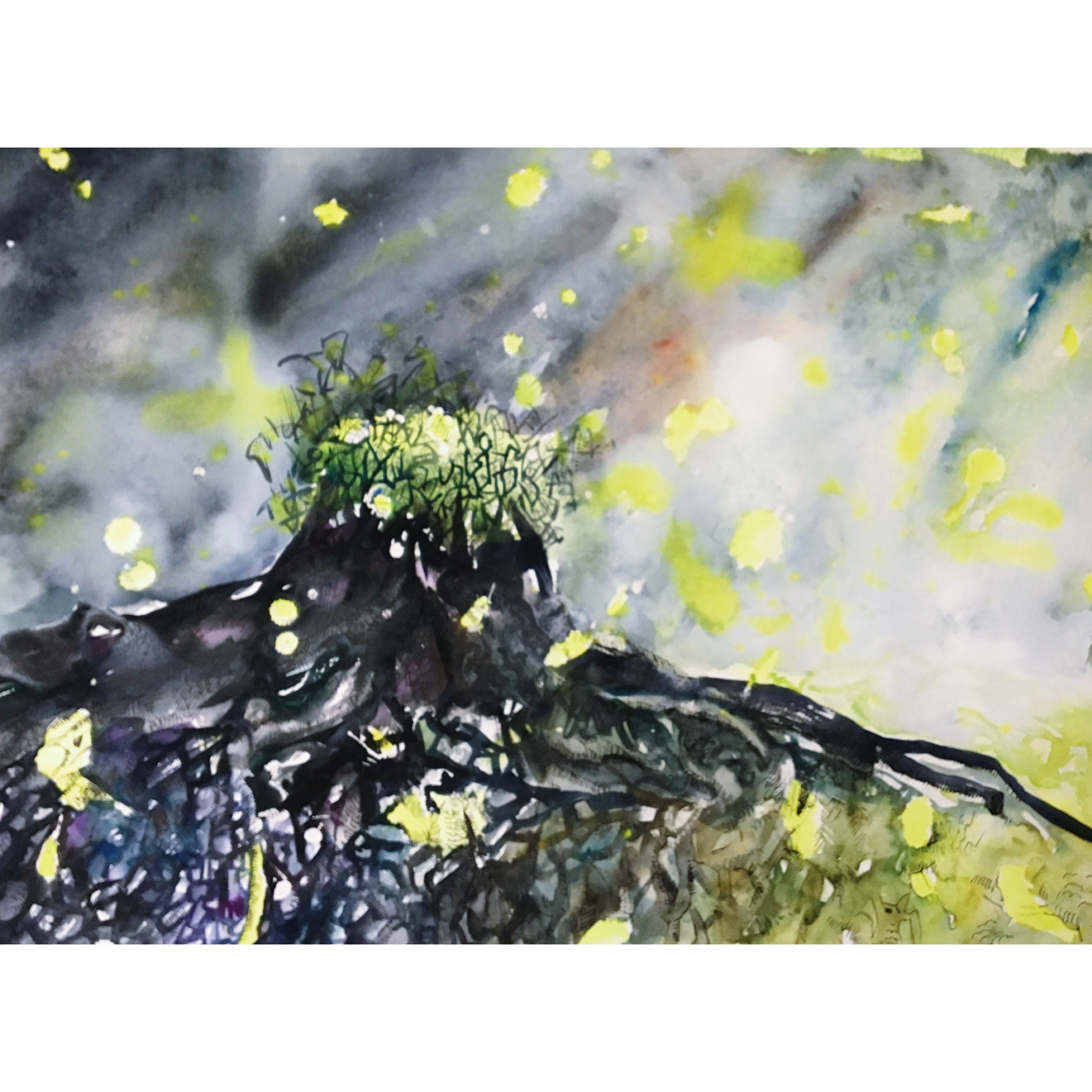 精灵_自然系果实-站酷ZCOOL