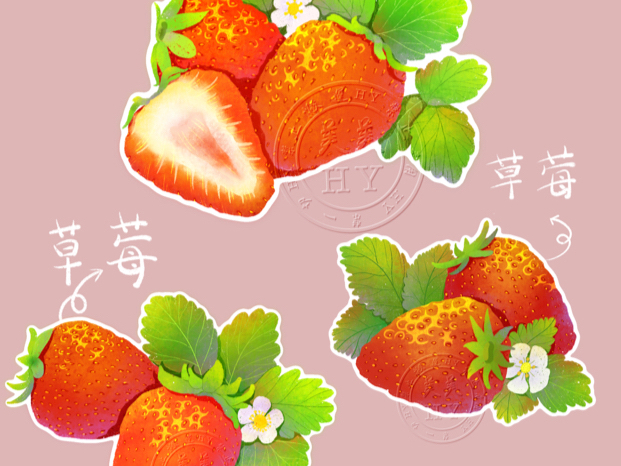 肌理风草莓插画_美美HY-站酷ZCOOL